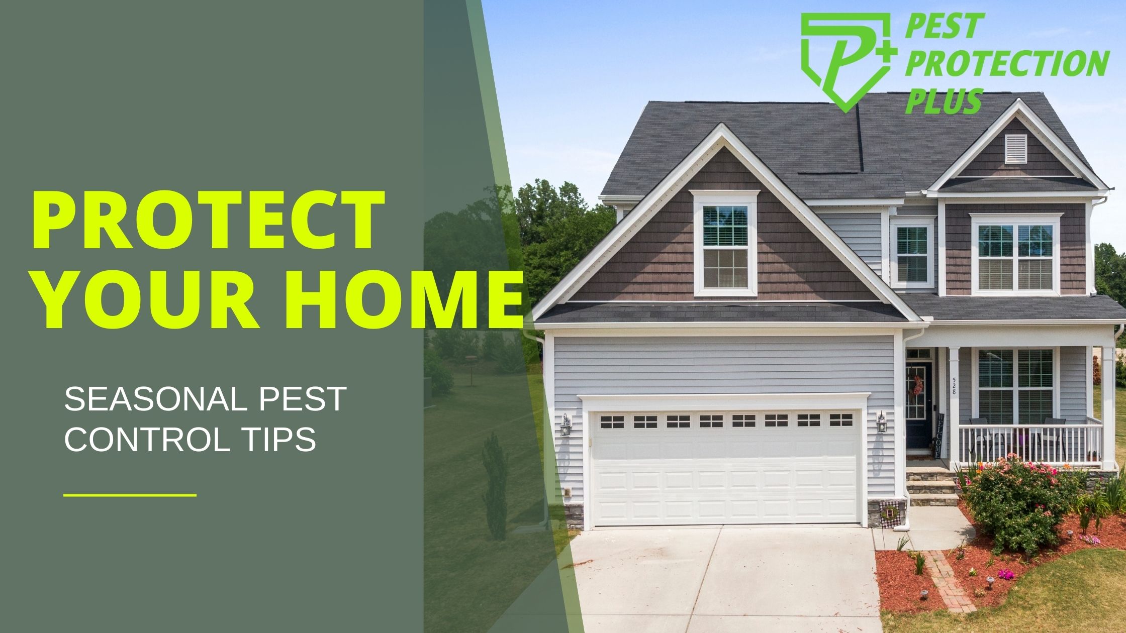 Seasonal Pest Control - Pest Protection Plus inc.